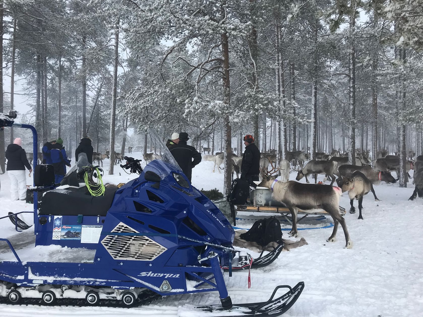 Innala Tours - HaparandaTornio